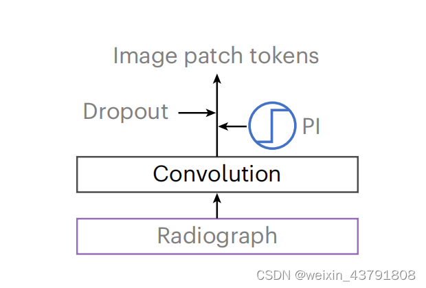 好文推荐 A transformer-based representation-learning model with unified processing of multimodal ...