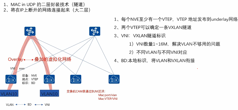 数据中心——Vxlan基本概念1_border leaf_静下心来敲木鱼的博客-CSDN博客