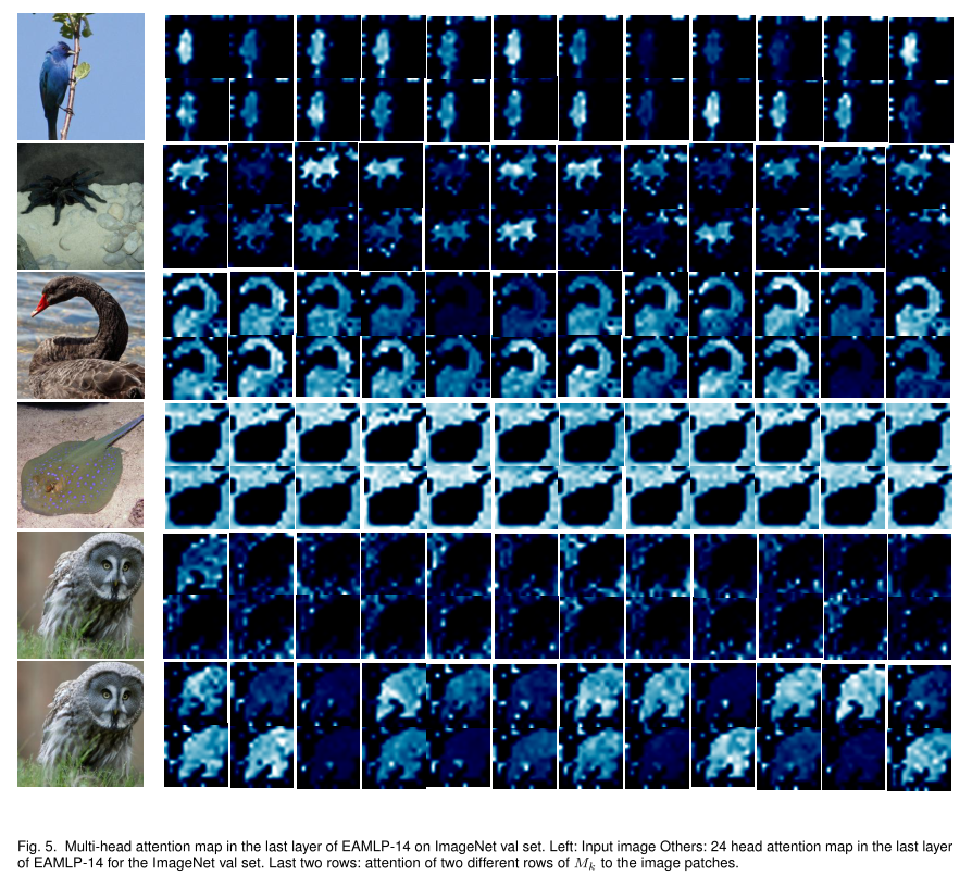 【论文笔记】Beyond Self-attention: External Attention using Two Linear Layers for Visual Tasks-CSDN博客
