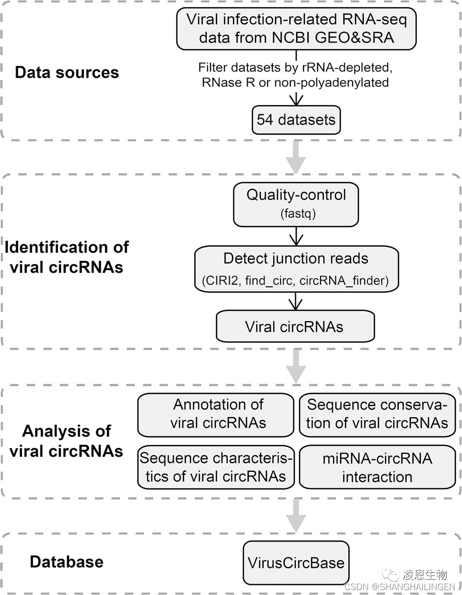 数据库 | VirusCircBase：环状 RNA病毒数据库_circbase数据库-CSDN博客