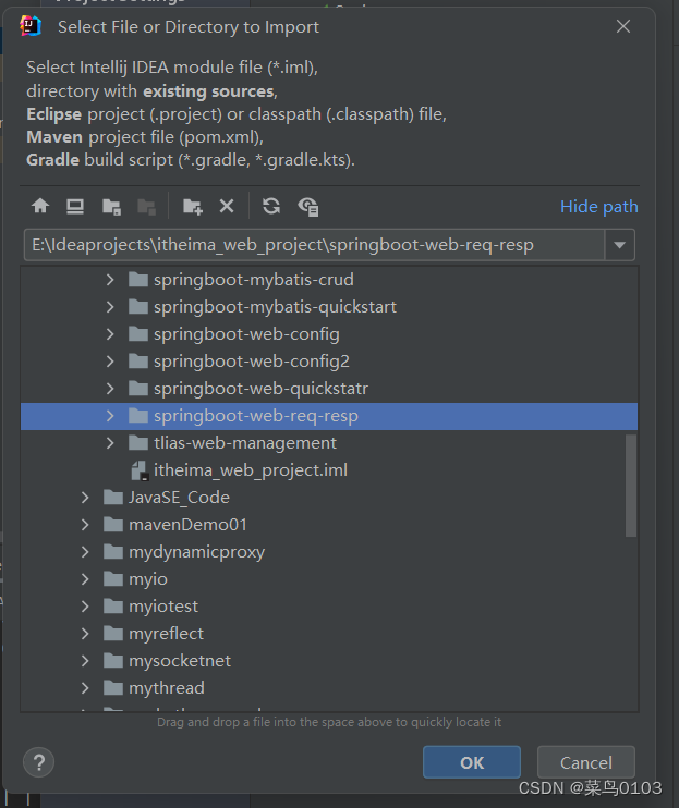 idea导入项目以及配置_idea如何导入项目并配置运行-CSDN博客