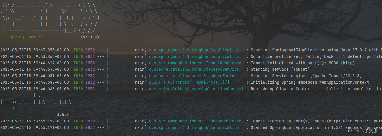 Springboot31整合mybatis Plus报错:injection Of Resource Dependencies Failed