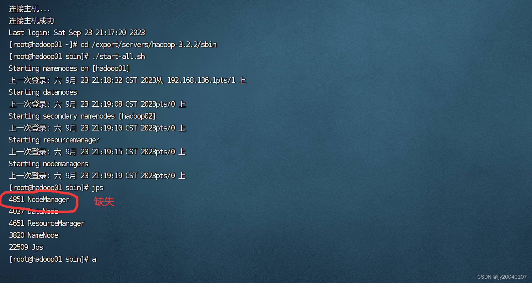 hadoop启动后jps进程没有Datanode进程的解决方法_jps没有datanode进程-CSDN博客