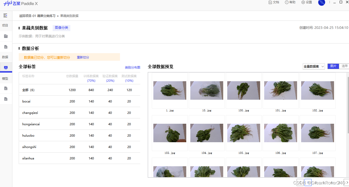 PaddleX入门教程1：利用PaddleX图形化工具进行训练_paddlex1.0模型转换-CSDN博客