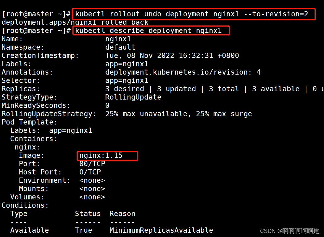 k8s管理工具kubectl详解（二）_kubectl revision-CSDN博客