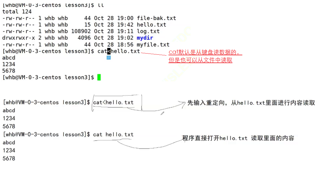 Linux - 指令2_linux 管道 cp-CSDN博客