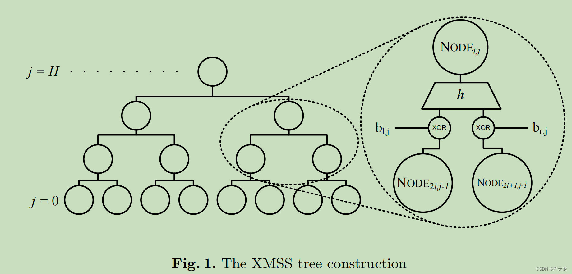 【零基础入门哈希签名架构，从Lamport到SPHINCS+】第四集 GMSS、XMSS、Multi Tree XMSS_xmss 树-CSDN博客