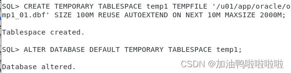 1:切换数据库的临时表空间为temp1/ 切换数据库的undo表空间为 undotbs01-CSDN博客