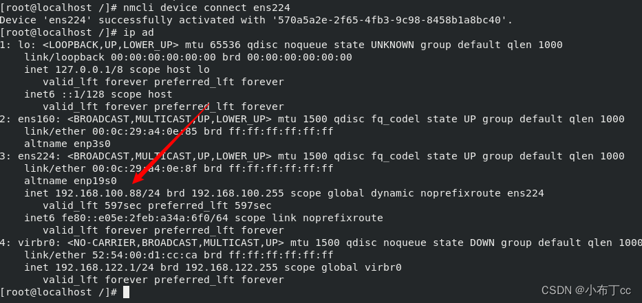 rhel 9 dhcp服务器 绑定固定ip_rhel9 配置ip-CSDN博客