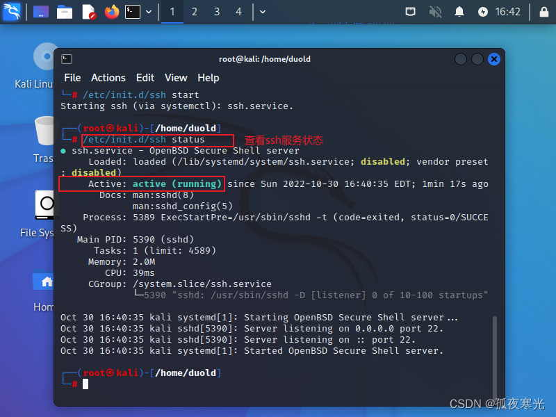 Kali linux和Parrot linux改IP并开启SSH_ssh修改ip-CSDN博客