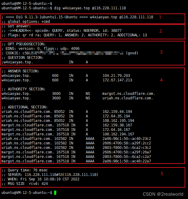 购买域名之后如何设置DNS，DNS解析原理与dig命令使用_域名购买后dns服务器-CSDN博客
