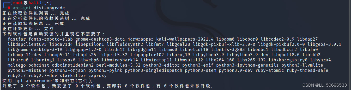 Kali升级操作系统 Csdn博客