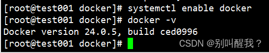 在Linux上安装docker_linux安装docker命令-CSDN博客