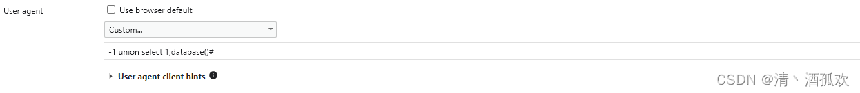 CTFHub闯关之SQL注入_ctfhub的综合训练 sqli-labs-CSDN博客