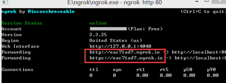 外网访问内网页面的方法：ngrok结合vscode快速访问vue项目_vscode 本地项目如何别人访问_Krlin_的博客-CSDN博客