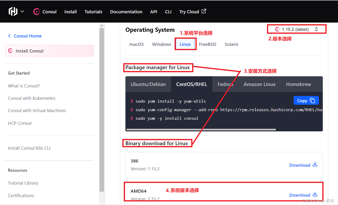 22.注册中心之Consul-全网最全文档_consul中文文档-CSDN博客