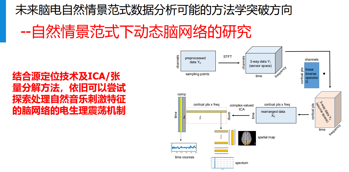 认知神经科学简介_intersubject correlation analysis (isc)-CSDN博客