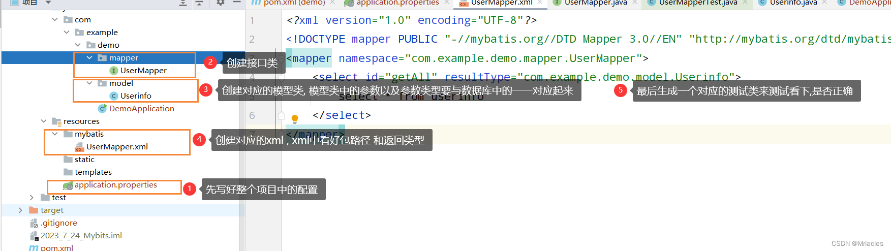 MyBatis详解_mybits-CSDN博客