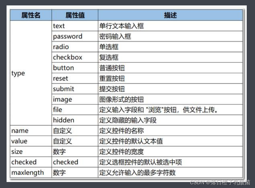 07 - HTML常用标签（二）_ -CSDN博客