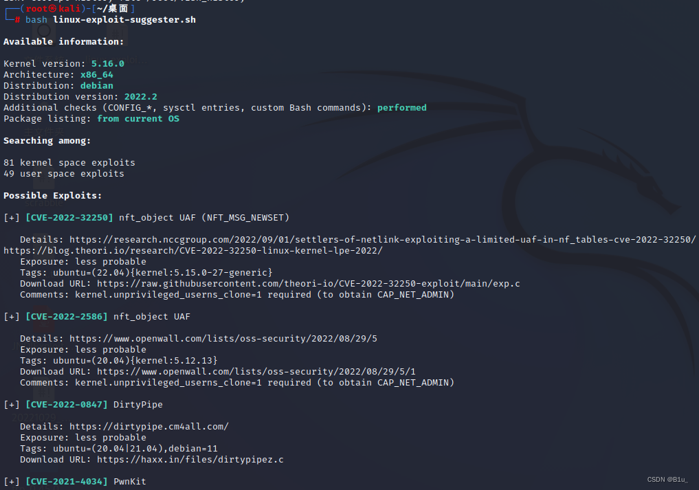 linux提权参考方法_cp 提权-CSDN博客