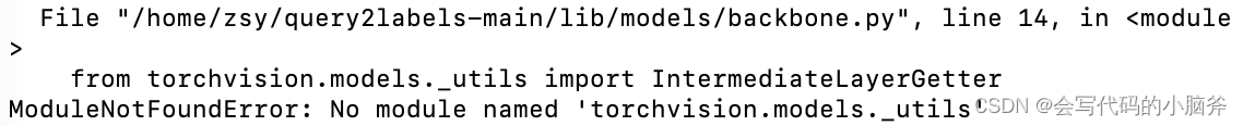 报错:modulenotfounderror No Module Named ‘torchvisionmodelsutils‘modulenotfounderror No