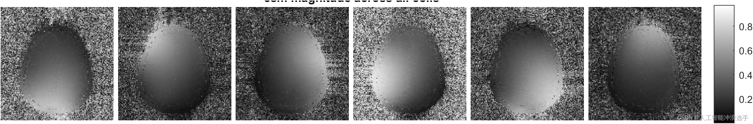 并行成像 之 Coil sensitivti map 估计 (绝对相位和相对相位)-CSDN博客