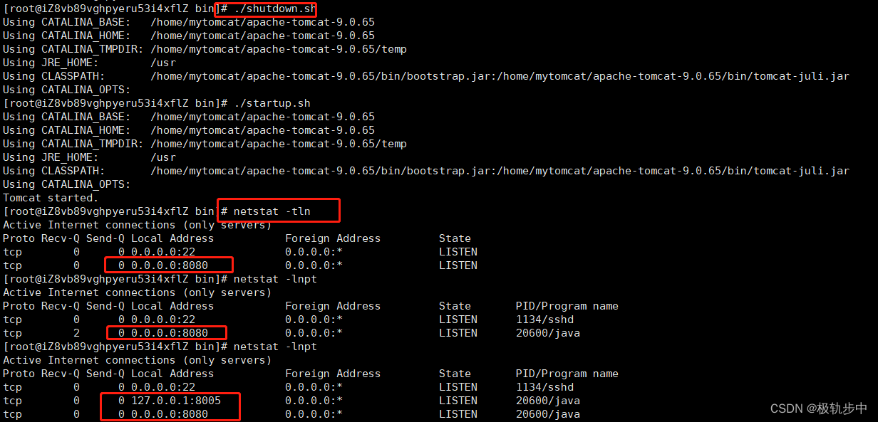 Could not contact [localhost:8005] (base port [8005] and offset [0 ...