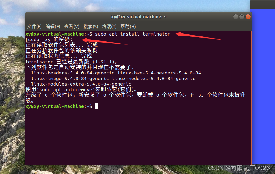 ubuntu 终端窗口优化——使用terminator_ubuntu 终端优化-CSDN博客