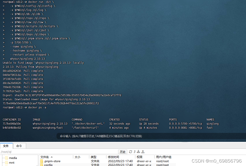 Wky刷armbian安装docker,ql-CSDN博客