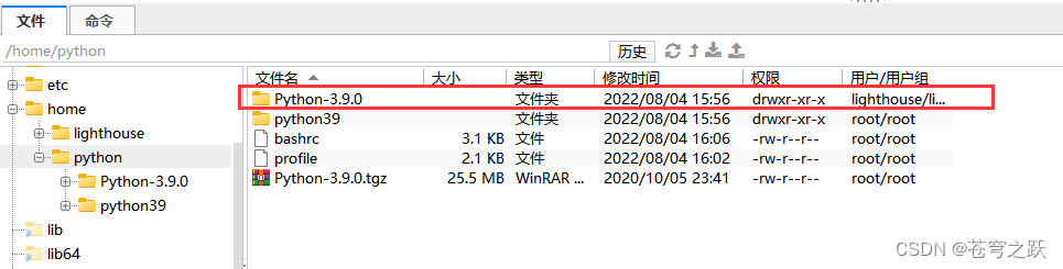 docker运行centos镜像 安装python3.9环境_docker python3.9-CSDN博客