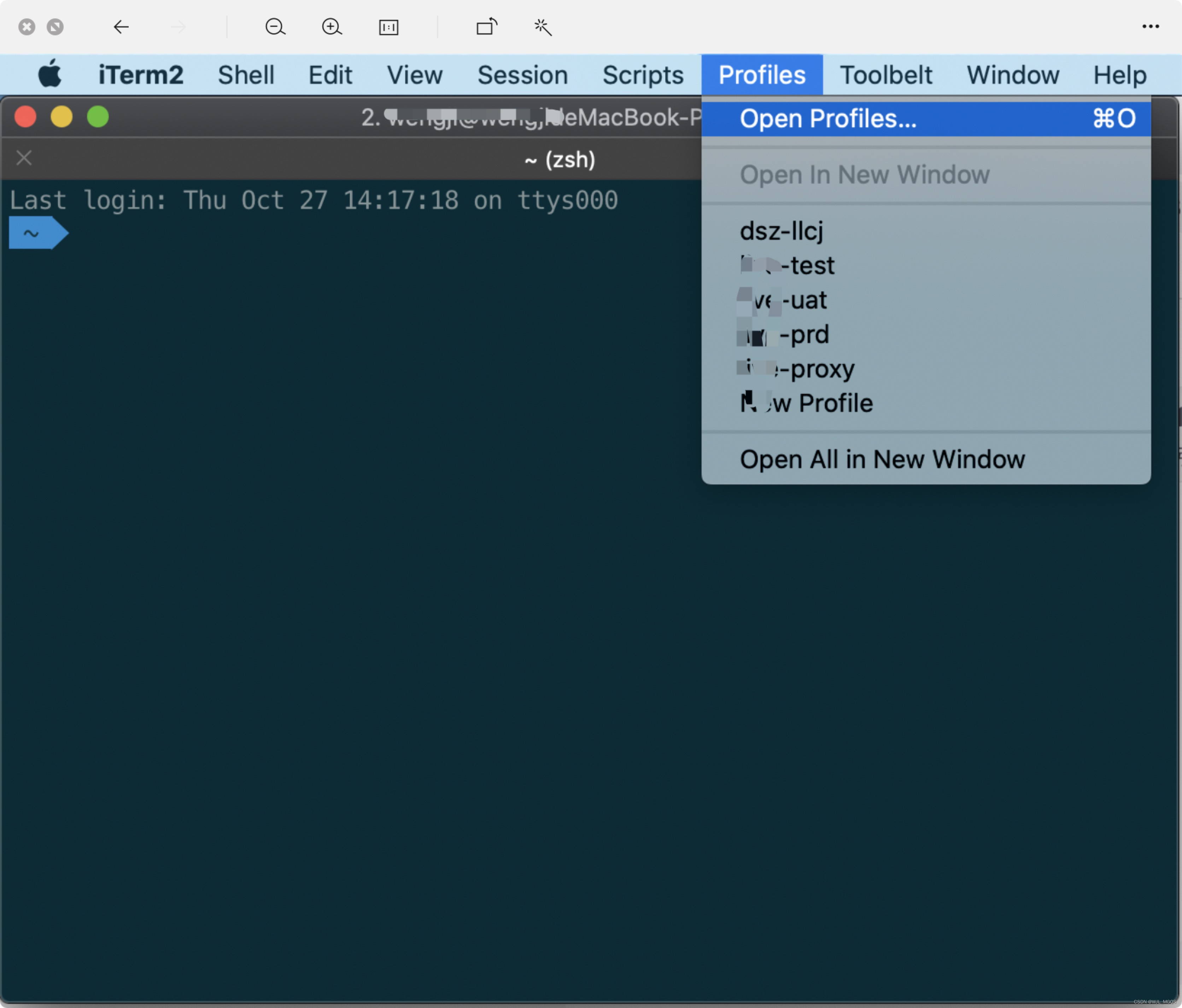 阿里云实践 - iTerm2登录服务器脚本(ssh)_iterm2脚本编写-CSDN博客