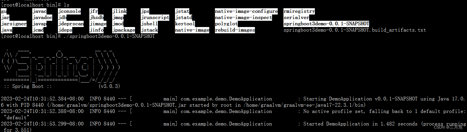 Linux 安装 Native Image,编译springboot3工程linux Native Image Csdn博客