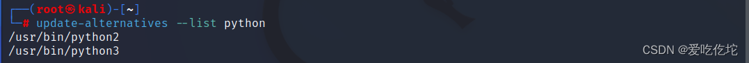Kali_2022的python双版本切换教程_kali如何把python设置为python2-CSDN博客