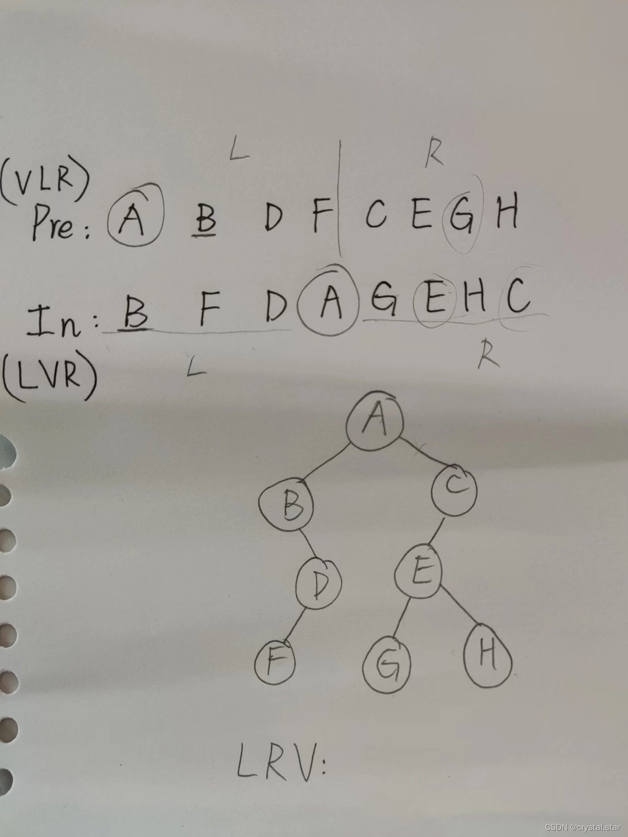 根据所给的前序和中序序列,构建二叉树编写一个程序 由先序序列和中序序列构造一棵二叉树二叉树种的每个结点值为单 Csdn博客