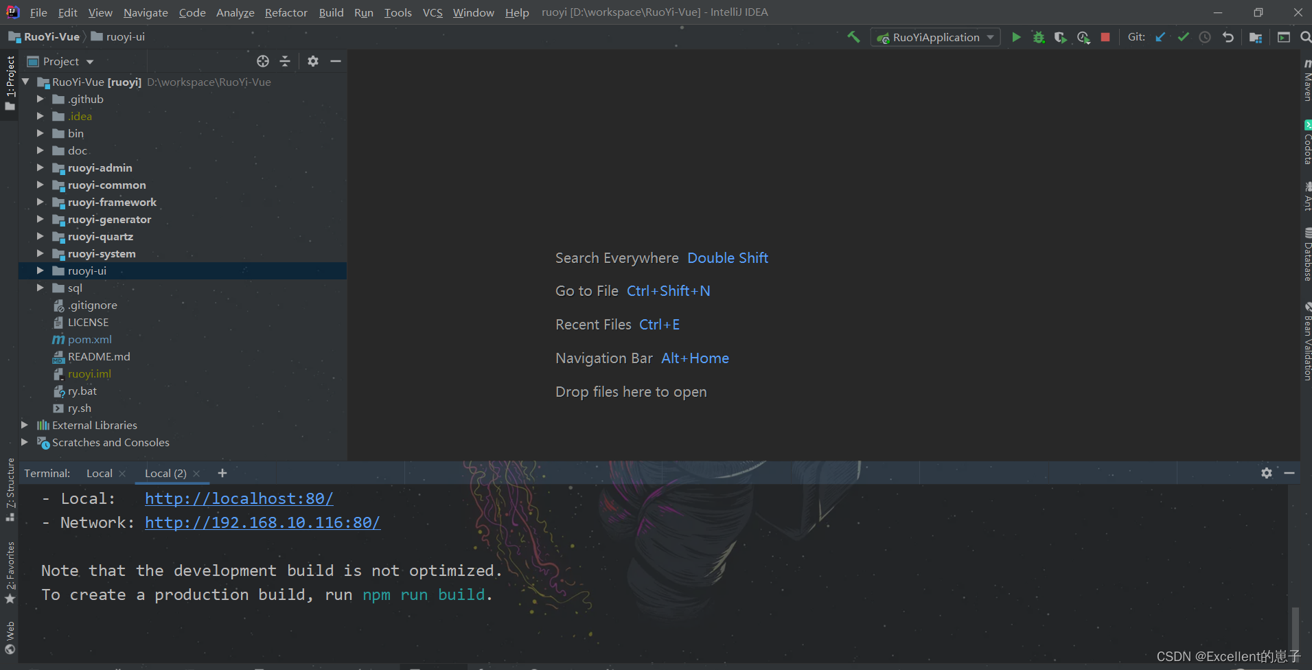 idea部署RuoYi-Vue分离版详解，够细！你值得拥有_在idea中vue项目部署-CSDN博客