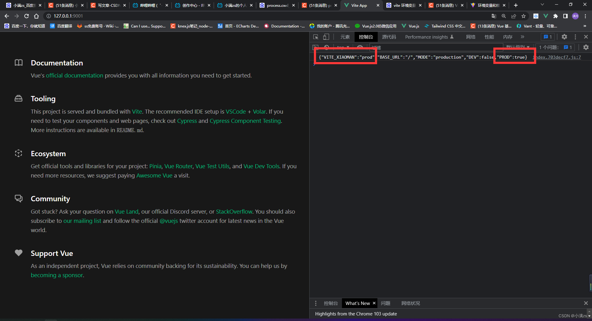 小满Vue3第四十二章（环境变量）_import { fileurltopath, url } from 'node:url-CSDN博客