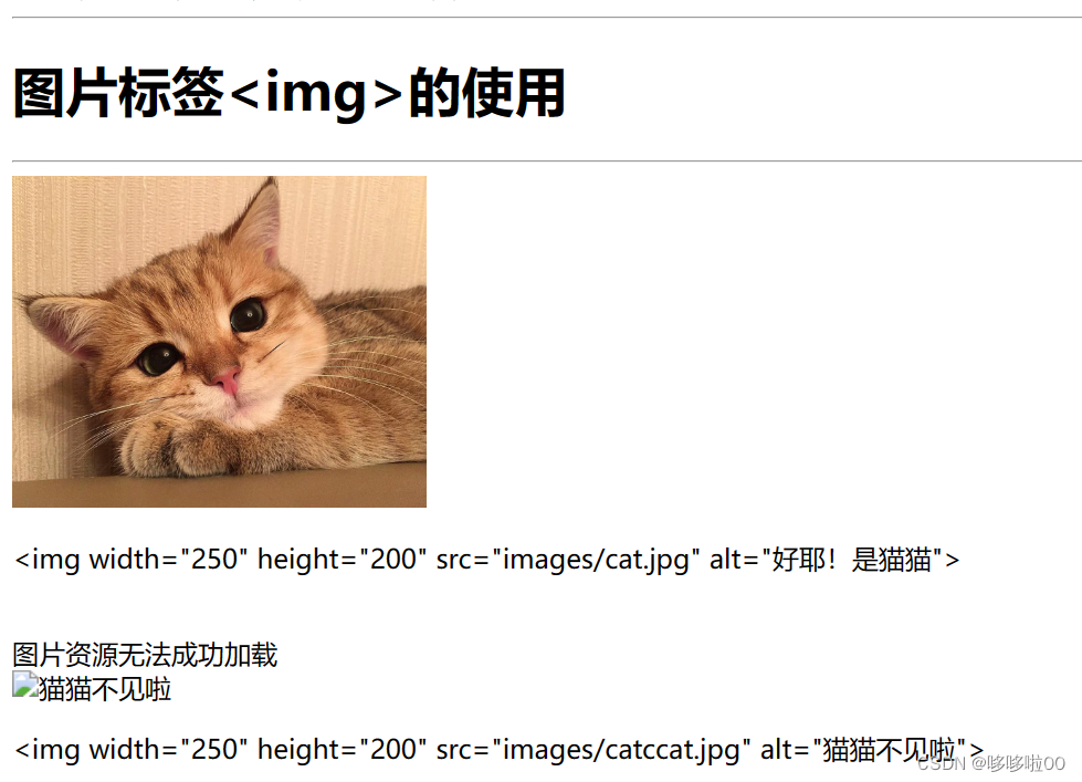 HTML常用标签使用_html定义h1的位置-CSDN博客