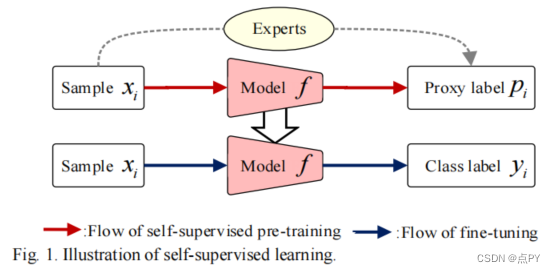 自监督学习论文、代码汇总_dcl 和 byol 技术-CSDN博客