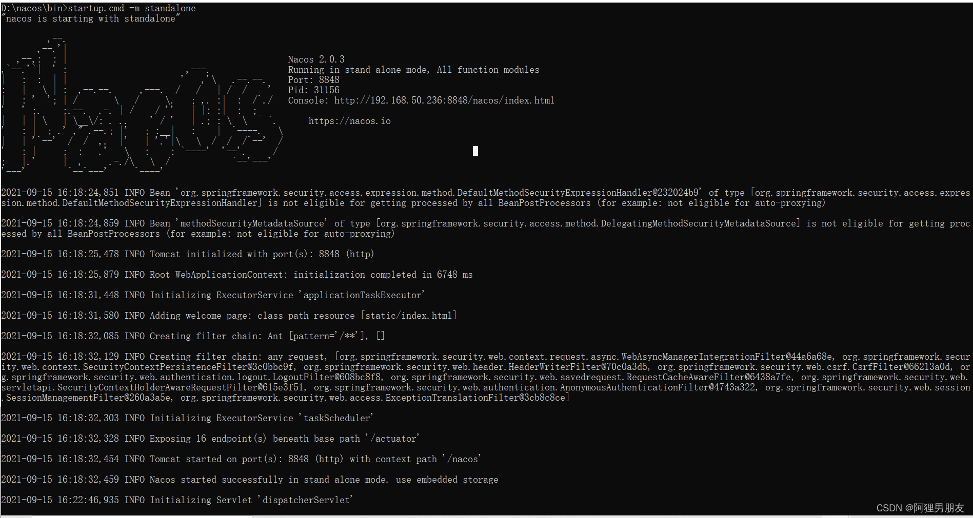 Nacos基础操作_nacos命令-CSDN博客