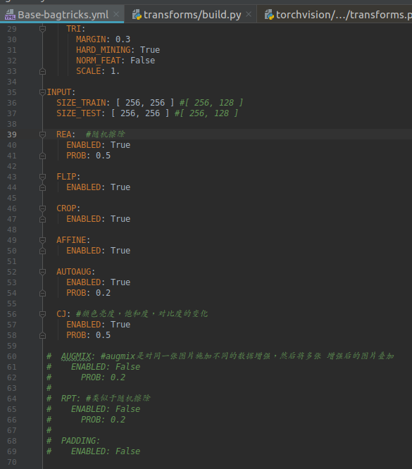 从无到有：跑通京东fast-reid工程_fastreid-CSDN博客