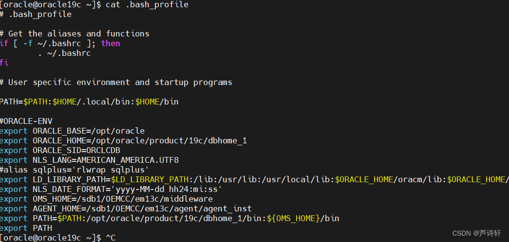 【oracle运维】oracle 19c 打补丁（p32218454）升级版本_oracle19c最新补丁-CSDN博客