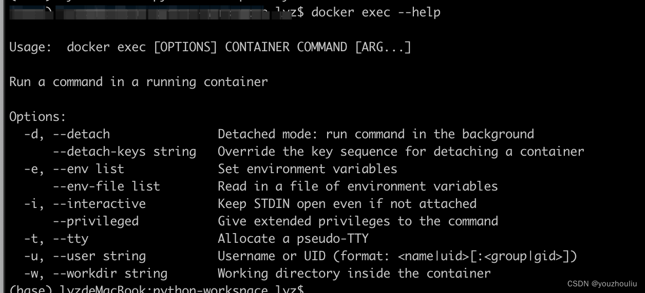 docker 命令详解（五）：exec_docker exec作用-CSDN博客