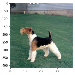 【人工智能项目】ImageNet数据集介绍以及数字图像处理技术-CSDN博客