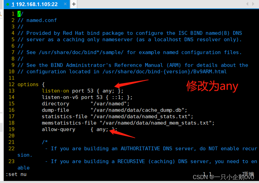 Dns域名解析dns解析 Csdn博客