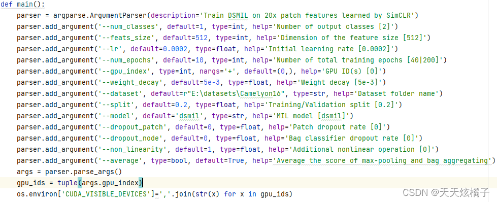 DSMIL论文代码复现，Dual-stream Multiple Instance Learning Network for Whole Slide Image Classification ...