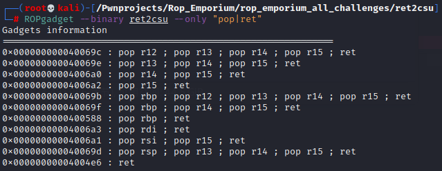【精选】ROP Emporium x86_64 7~8题_libc csu init rop-CSDN博客