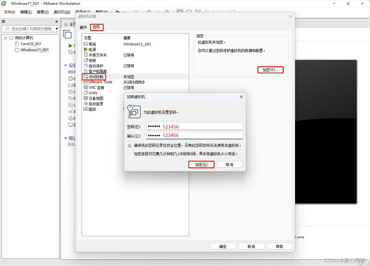 VMware安装Win11(珍藏版)_vmware17 win11 efi network timeout-CSDN博客