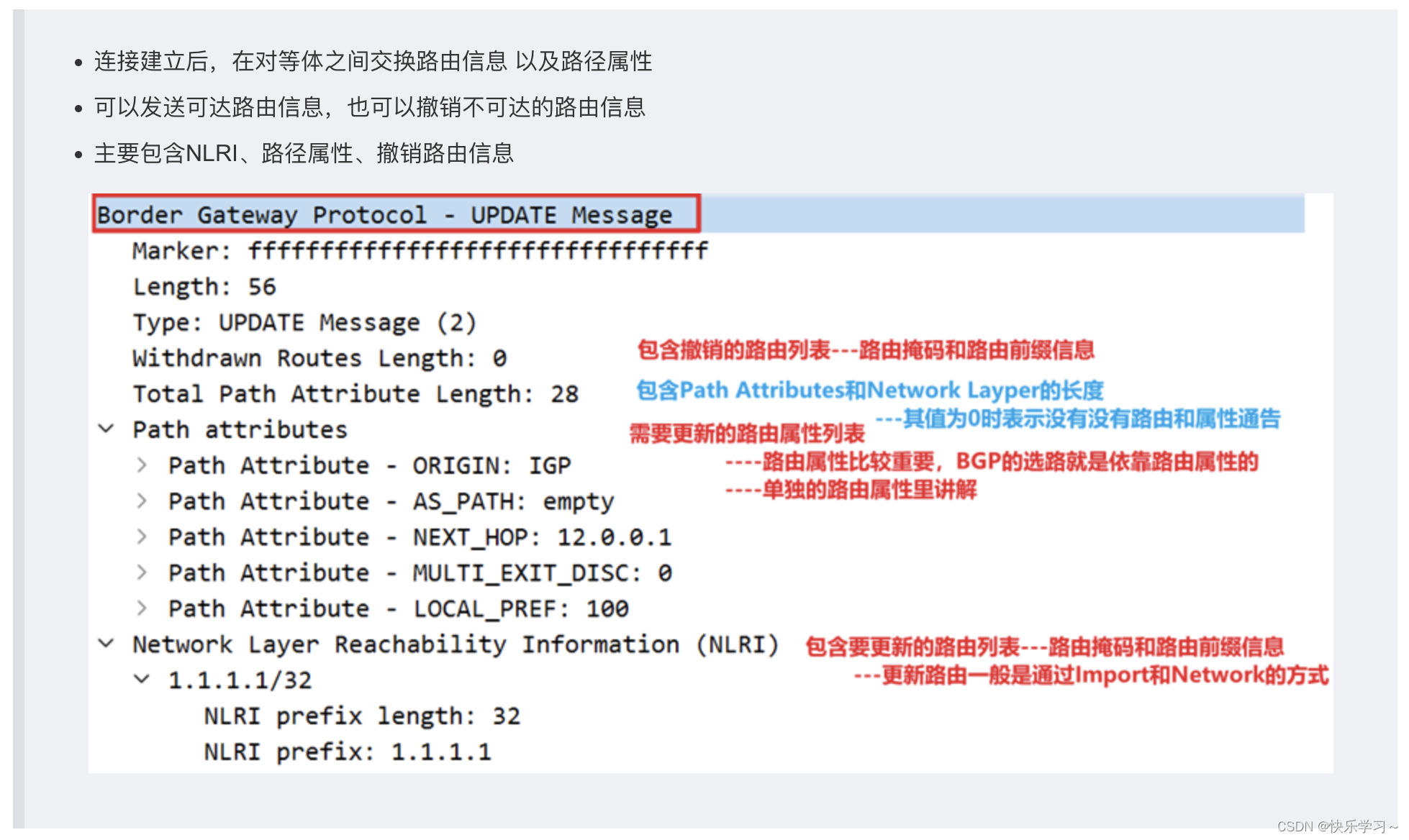 【博客459】BGP(边界网关协议)-----报文格式_route-refresh报文-CSDN博客