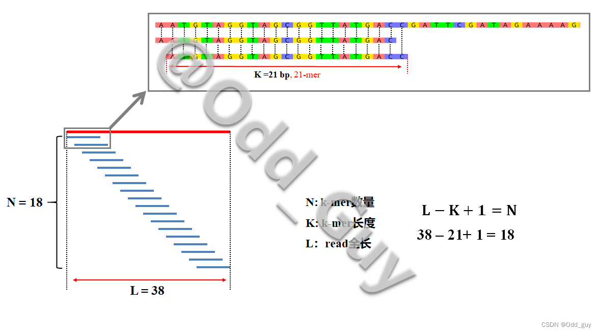 基因组特征评估——k-mer analysis_k-mer拆分查重-CSDN博客