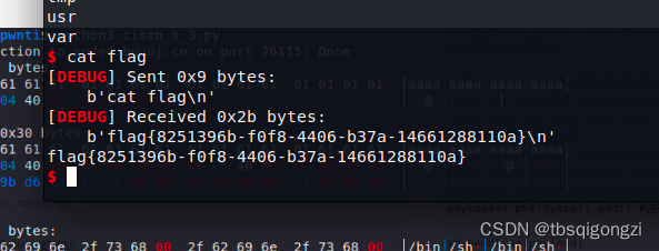 pwn刷题num48----syscall + ret2csu-CSDN博客